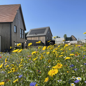 Bioregional launches guidance for sustainable new-build communities ...