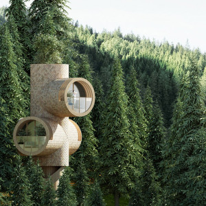 And finally… Architects unveil Minion-inspired tree houses | Scottish ...