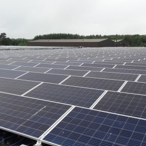 Fife Council backs solar farm plans for Kinglassie | Scottish ...