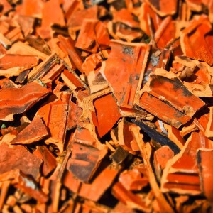 And finally… a star is forlorn | Scottish Construction Now