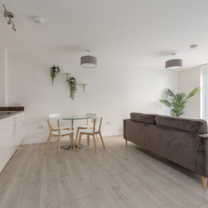 450 new homes for rent delivered by PfP Capital’s New Avenue Living ...