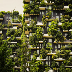 Guide to Sustainability in the Built Environment published by CIOB ...