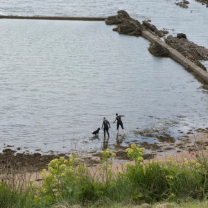 And finally… Architecture students to create designs linked to ...