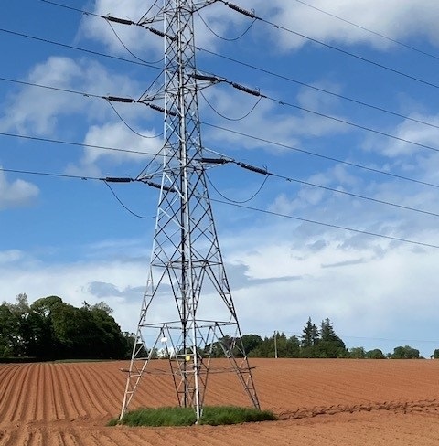 Overhead cable route raises biosecurity fears for farming land ...