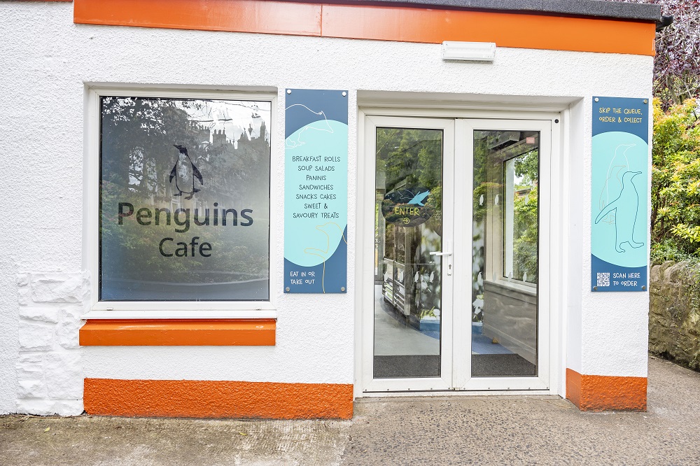 Edinburgh Zoo upgrades visitor experience at Penguins Café | Scottish ...